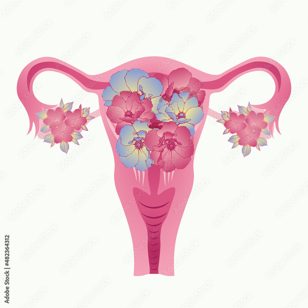 anatomy of the female reproductive system, uterus with flowers Stock ...
