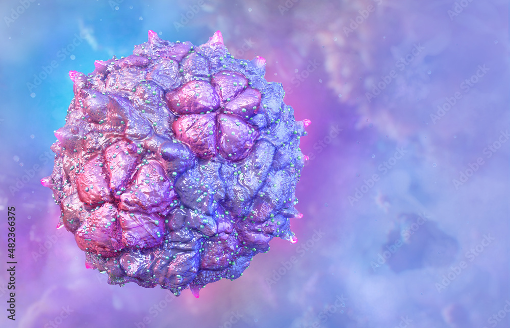 Human rhinovirus picornavirus. RNA enterovirus in the family Picornaviridae, cause of the common ...