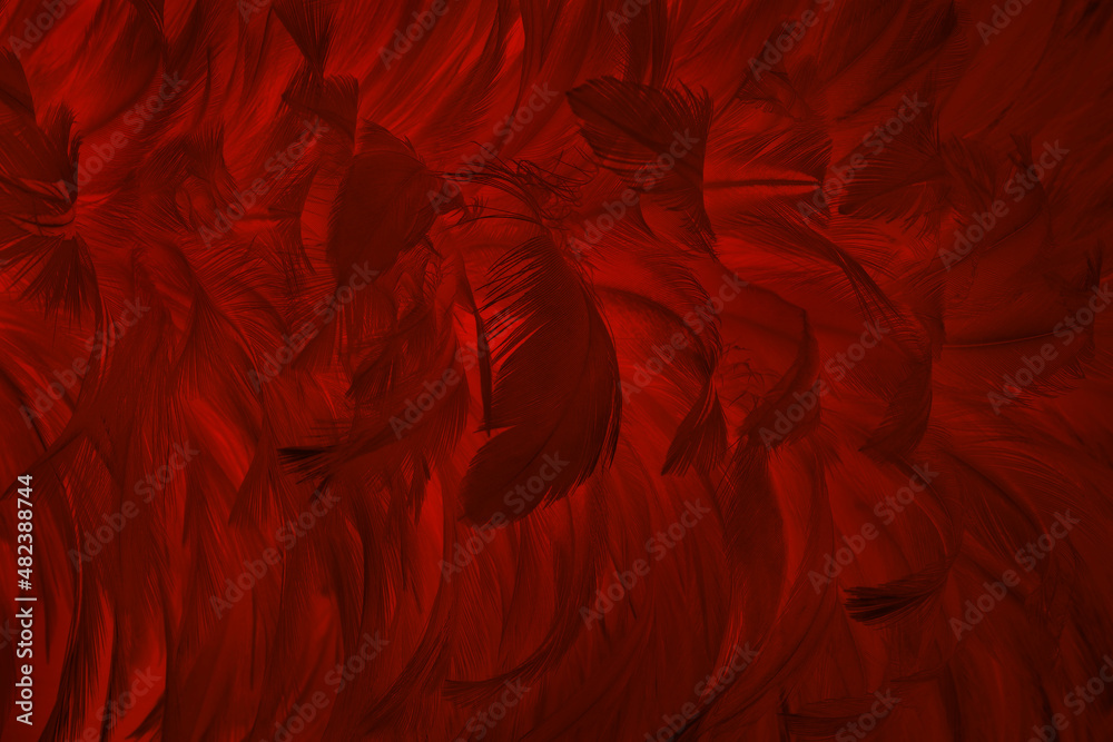 Beautiful dark red bird feathers pattern texture background. Stock ...