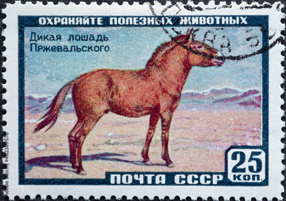 Soviet Union, USSR - circa 1959 : a postage stamp from Soviet Union ...