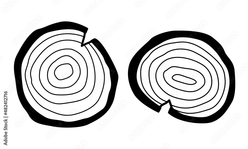Round pieces of wood with rings vector illustration. Hand drawn wooden ...