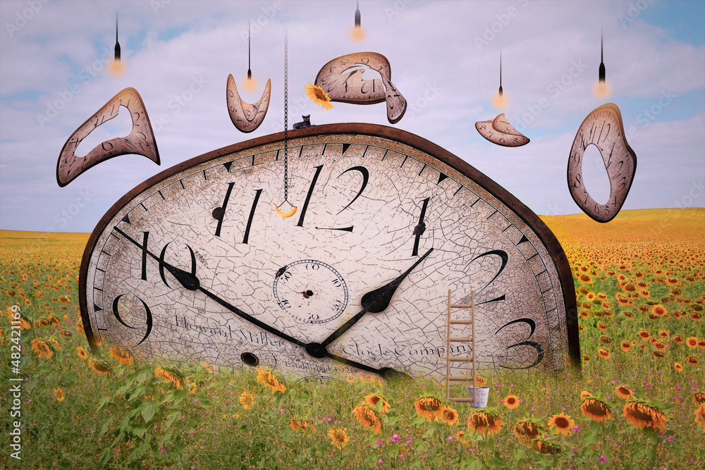 Time flies, time expanda and contract. An allegory about time and the ...