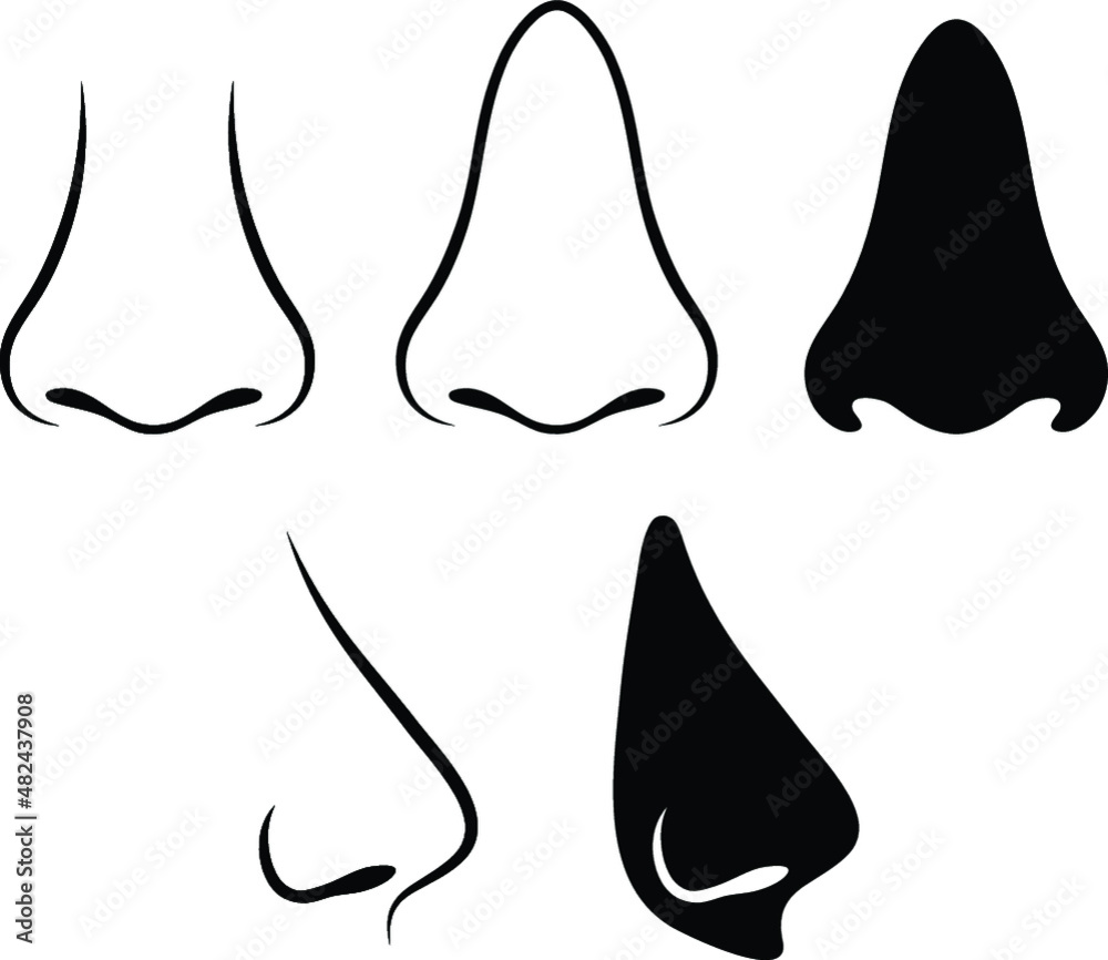 Nose Front and Side Profile Clipart Set - Outline and Silhouette Stock ...