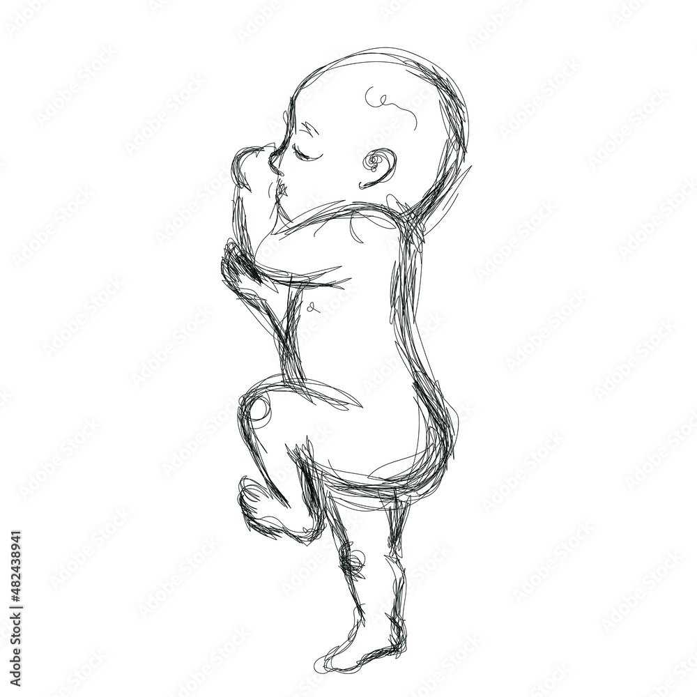 Newborn Baby Outline