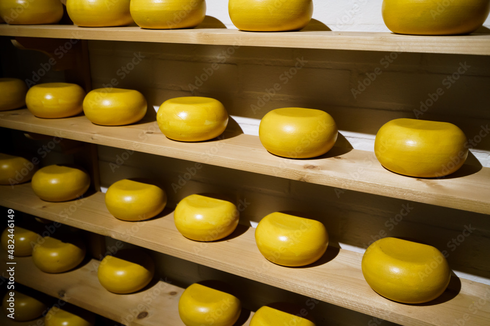 Cheese shop display. Farmer cheese. Cheese wheels in store Stock Photo ...