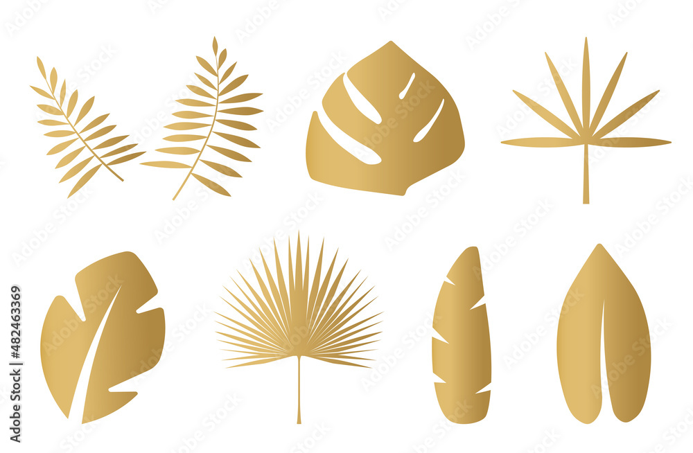 set of golden palm leaves- vector illustration Stock Vector | Adobe Stock