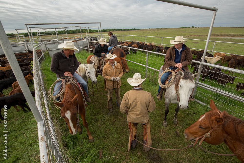 Cowboy, rancher, cattleman and wrangler, most on horseback, talking ...