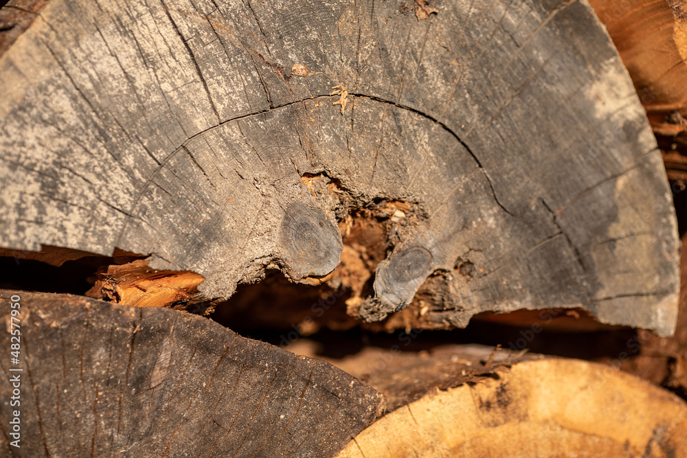 Broken log of a tree. The trunk of an old tree. Material for processing ...