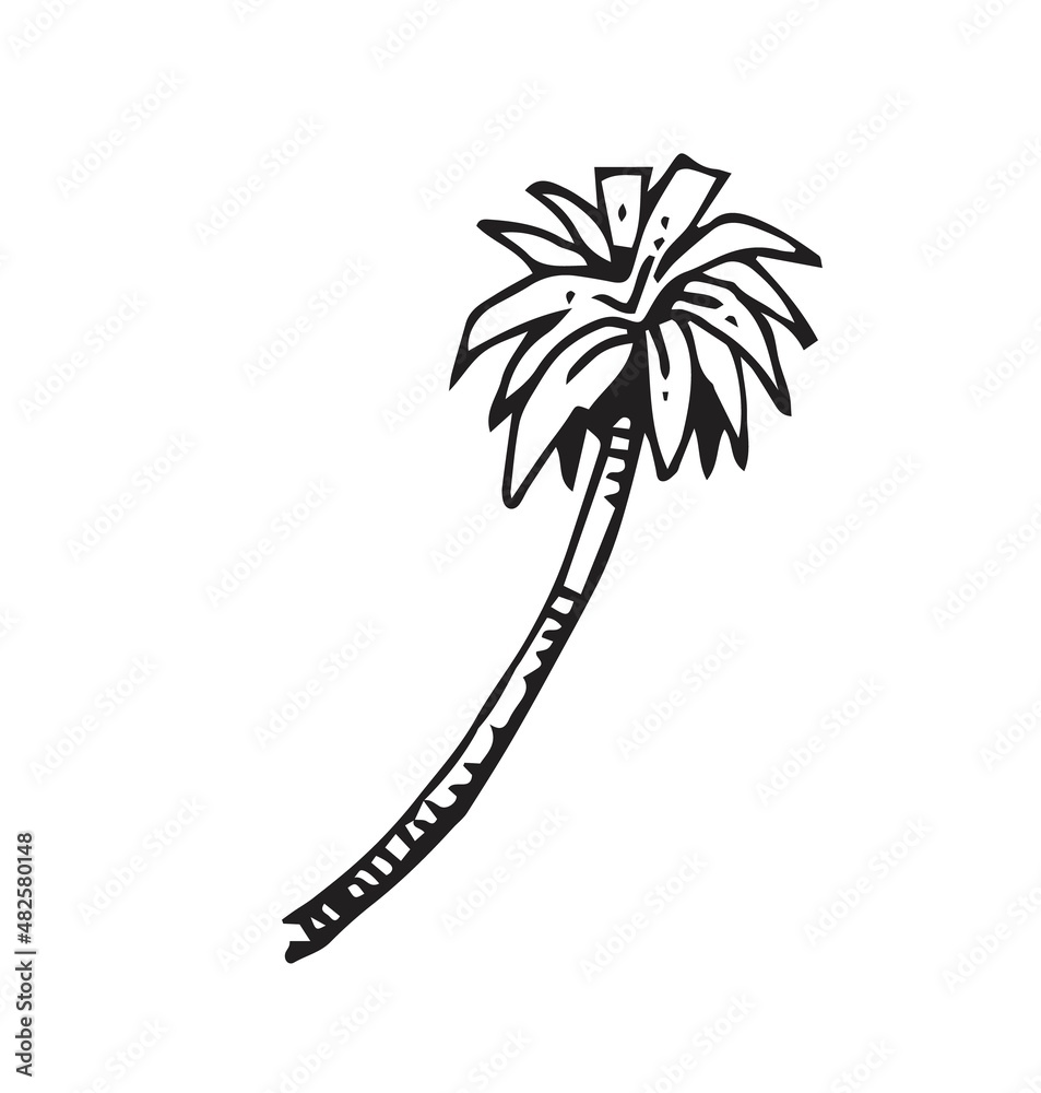Bent down palm tree. In outline style for engraving. Fast casual style ...