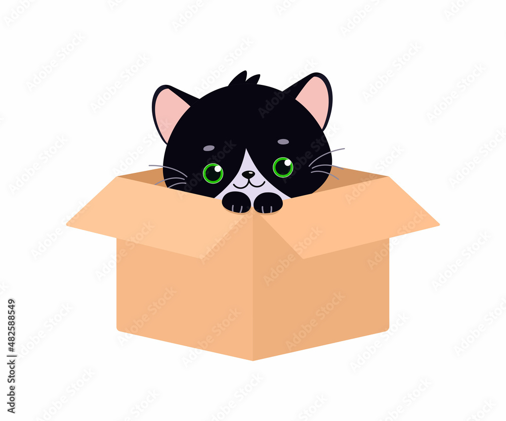 Cute gray kawaii cat sits in box on white background. Cartoon flat ...