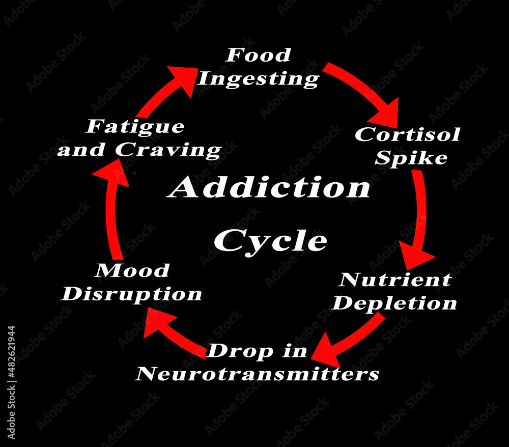 Six Components of Addiction Cycle Stock Illustration | Adobe Stock