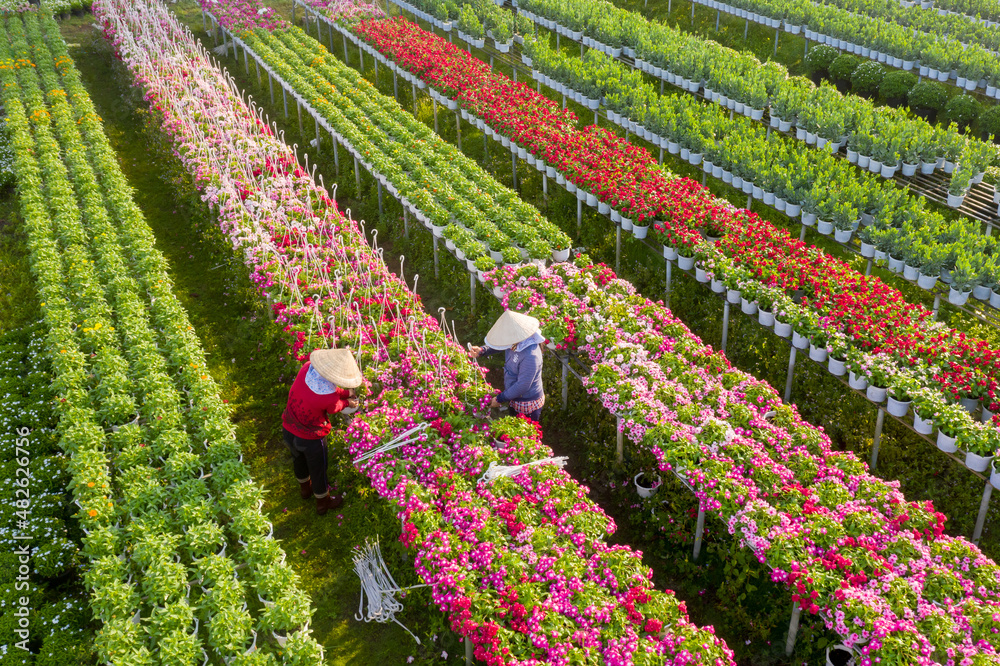 Royalty high quality free stock image. Aerial view flower field. Top ...