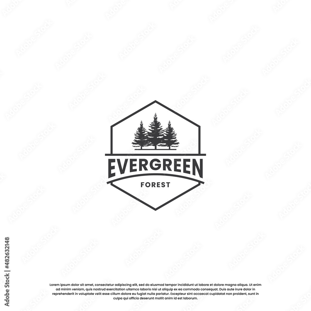 evergreen logo design vintage. pine tree logo in vintage badge. Stock ...