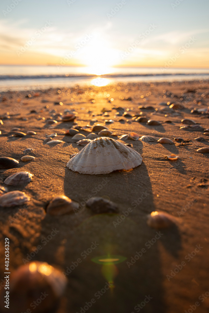 Foto de A sunset in one of the most beautiful beaches in Spain, Mazagon ...