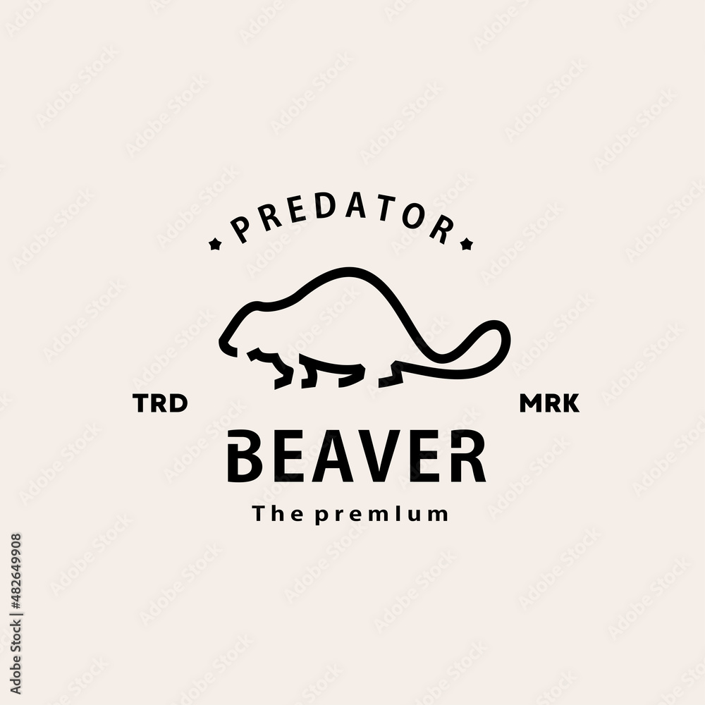 vintage retro hipster beaver logo vector outline monoline art icon ...