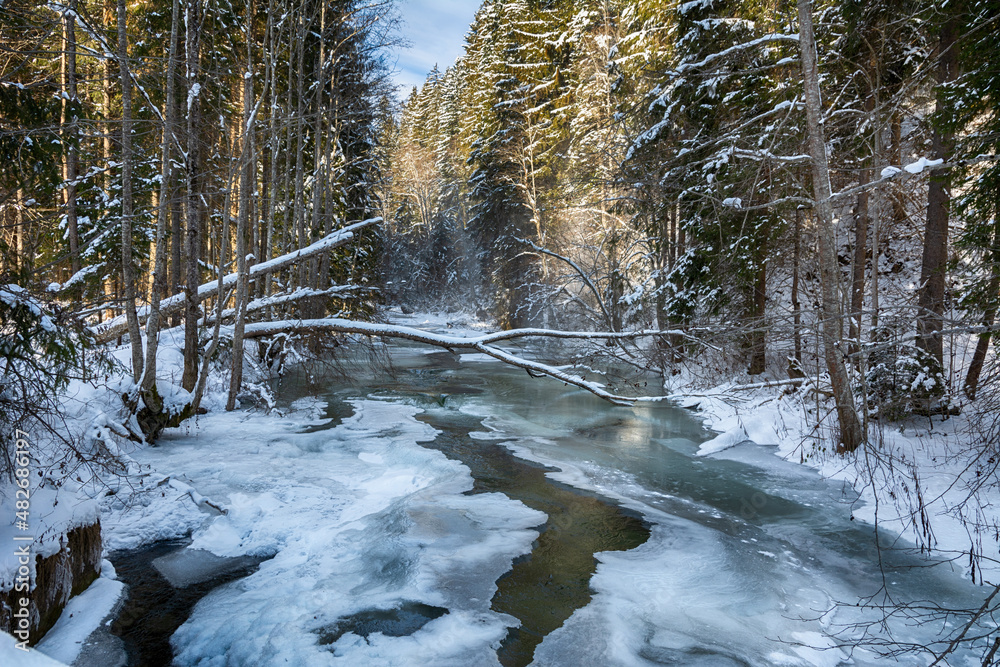 Frozen small river in the forest with chunks of ice and snow and a tree ...