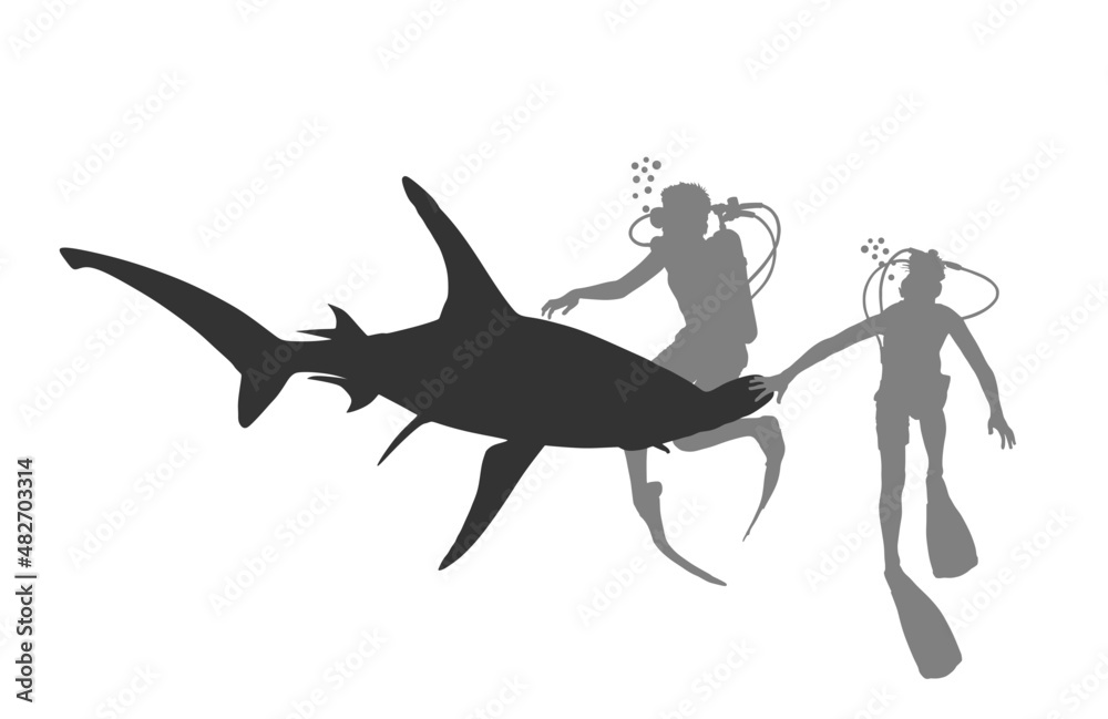 Divers diving and observing Great Hammerhead shark vector silhouette ...