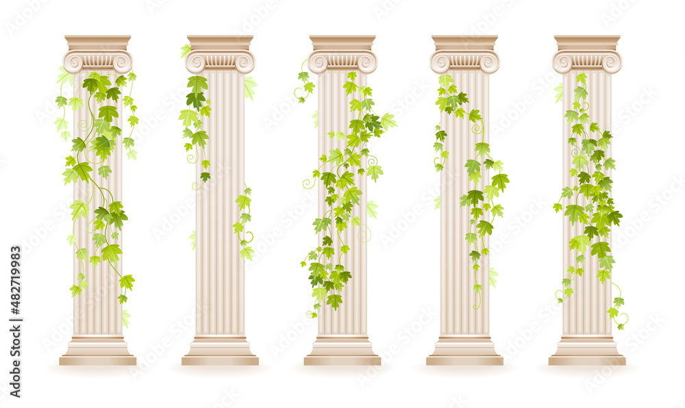 Vector ivy column. Greek marble architecture pillar set with green ivy ...
