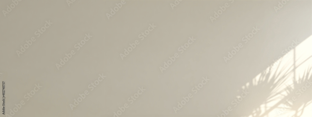 3D render of indoor beige wallpaper with natural sunlight and tropical ...