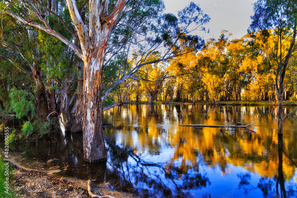 Murrumbidgee River