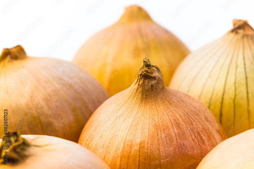 Onion bulbs in seedling tray close up isolated on white background ...