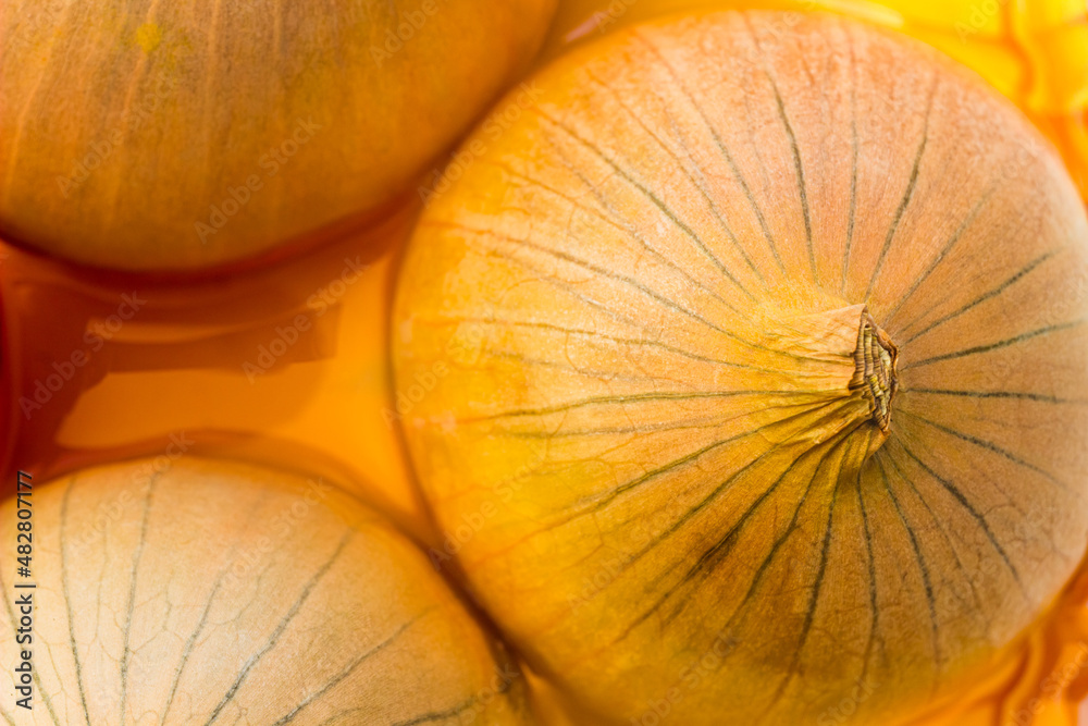 Onion bulbs in seedling tray close up. Onion texture background. Nature ...