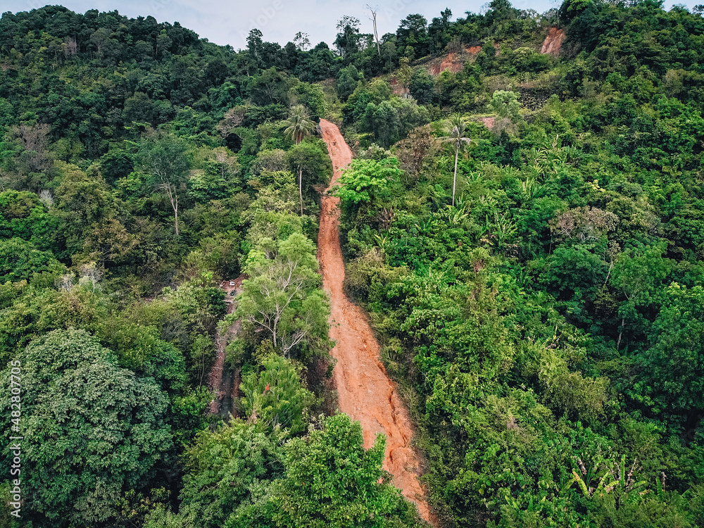 Top view of a long earthen driveway in the middle of a huge dense green ...