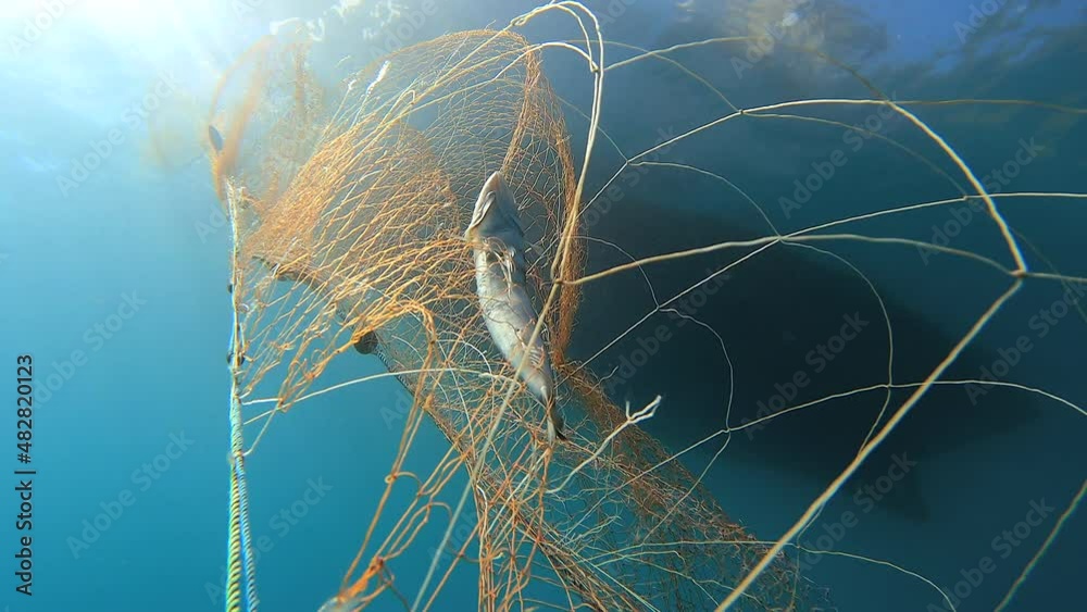 Video „4K.Caught fish in the net hanging from the boat under the sea ...