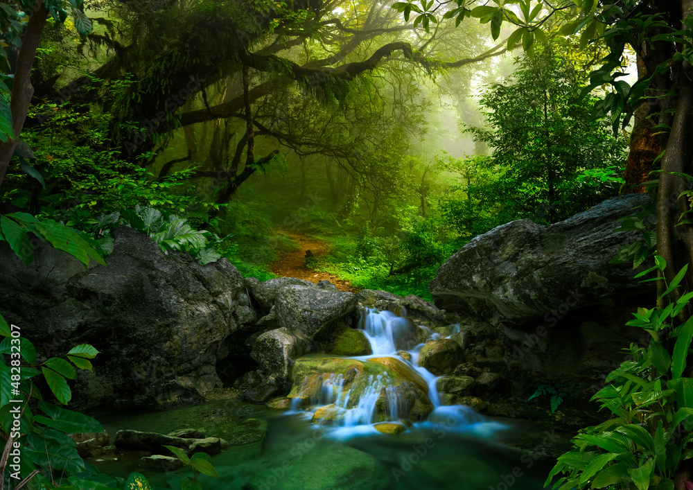 Southeast Asian rainforest with waterfall Stock Photo | Adobe Stock