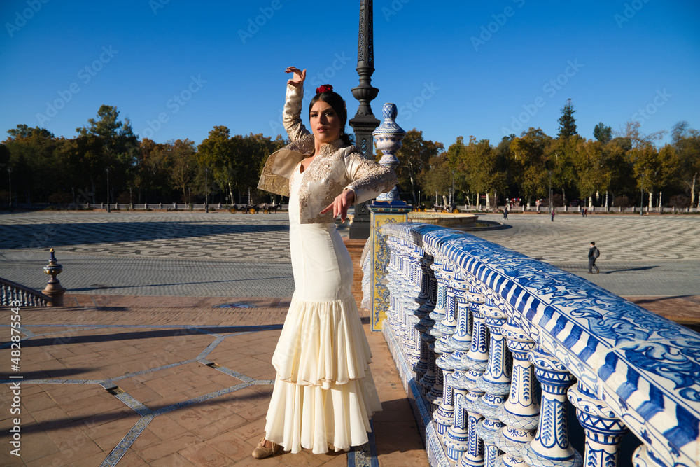 Flamenco dancer, woman, brunette and beautiful typical spanish dancer ...