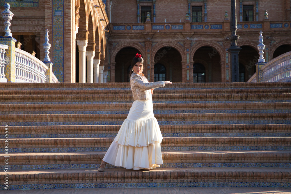 Flamenco dancer, woman, brunette and beautiful typical spanish dancer ...