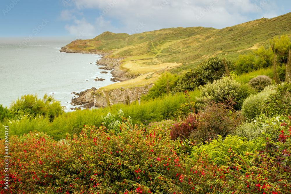 The beautiful coastal path from Mortehoe to Morte Point. Woolacombe ...
