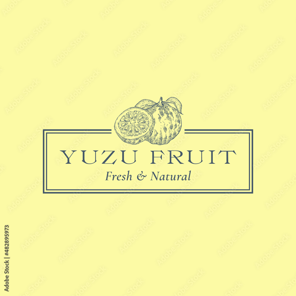 Yuzu with a Slice Abstract Vector Sign, Symbol, Logo Template. Hand ...