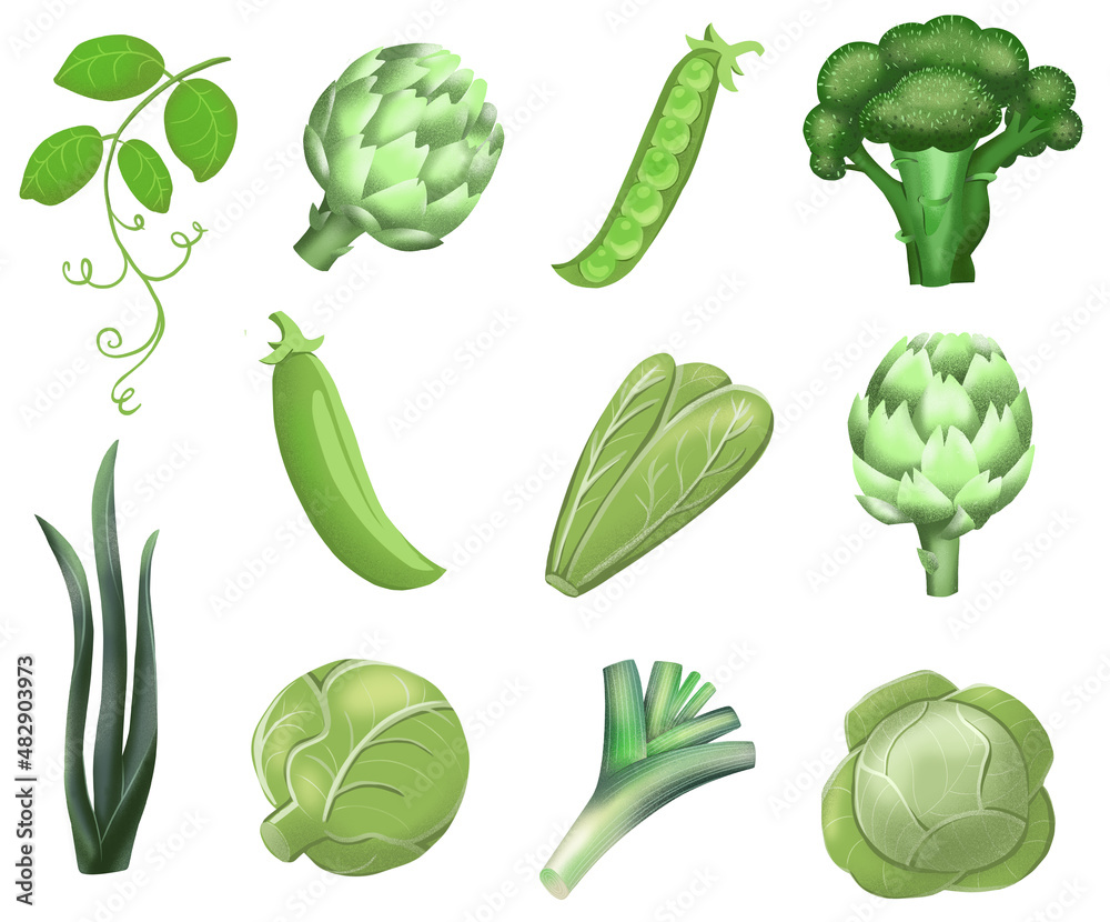 Vector vegetables set drawn realistic set in cartoon style. Collection ...