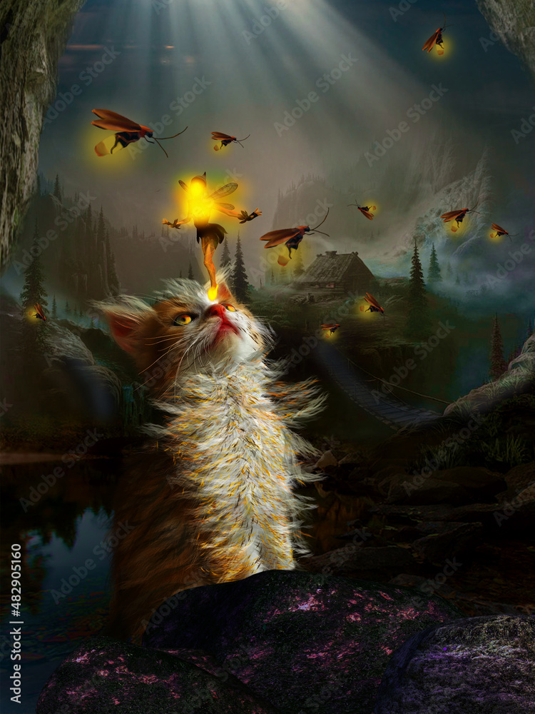 A cat in a fantasy world.The cat looks at the fairy.The mysterious and ...