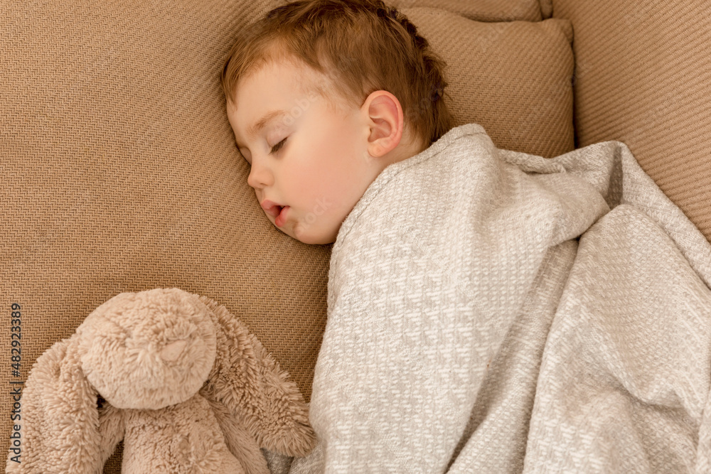 Little, cute caucasian boy sleeping on couch at home. Child taking day ...