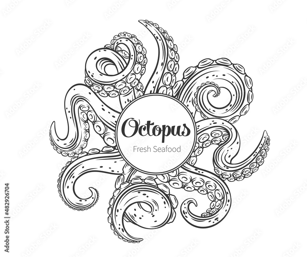 Octopus tentacles outline frame banner with empty space. Drawn ...