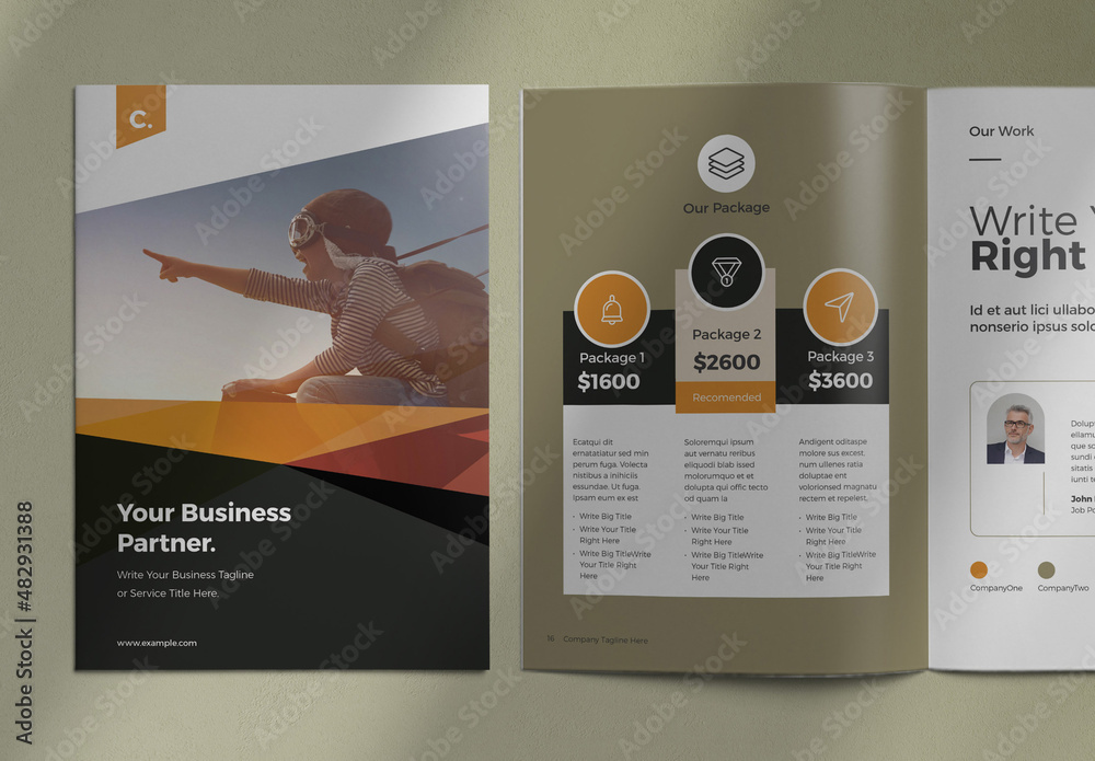 Business Brochure Layout Stock Template | Adobe Stock