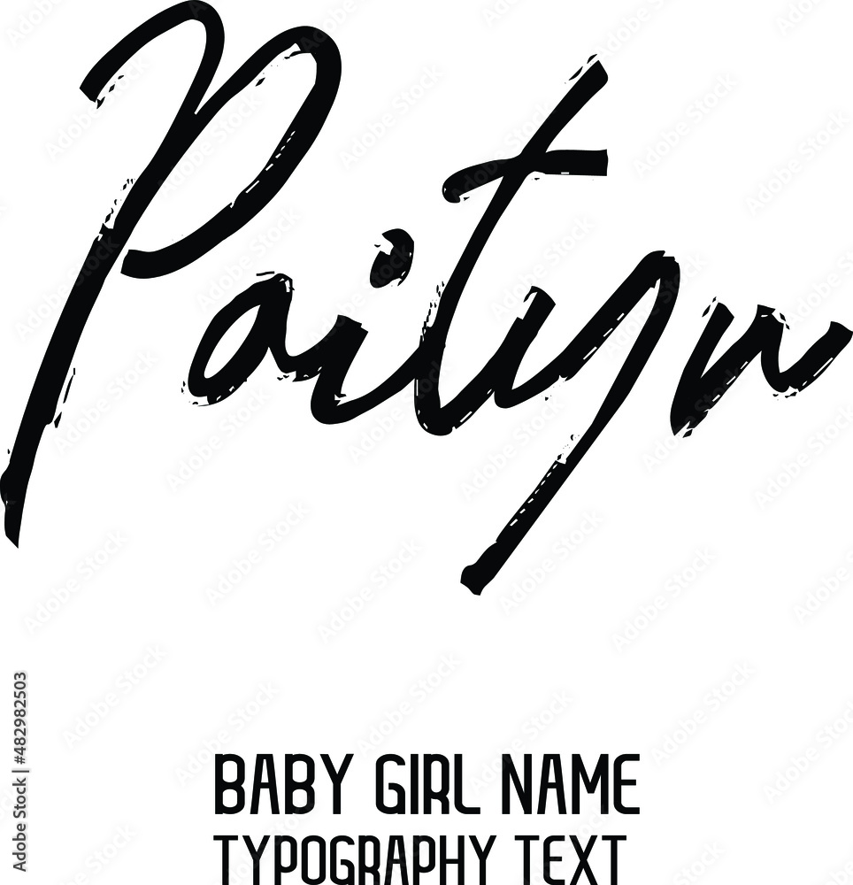 Paityn Girl Name Handwritten Lettering Modern Typography Text Stock ...