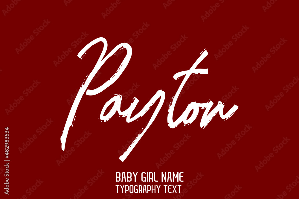 Female Name Payton in Stylish Lettering Cursive Calligraphy Text on ...