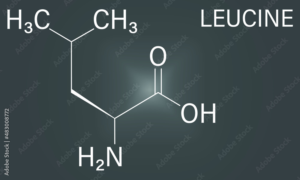 Leucine or l-leucine, Leu, L amino acid molecule. Skeletal formula ...