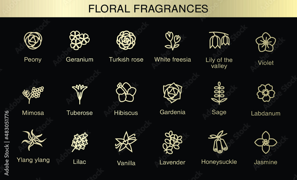 Vector icons aromas floral notes. Floral fragrances with examples of ...