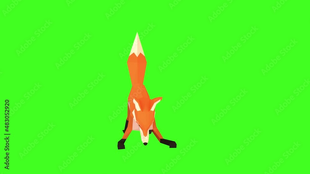 Fox animation, Red fox eating Loop animation. Isolated and cyclic ...
