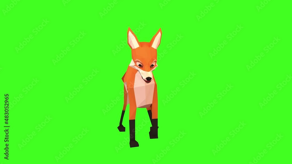 Fox animation, Red fox front walk Loop animation. Isolated and cyclic ...