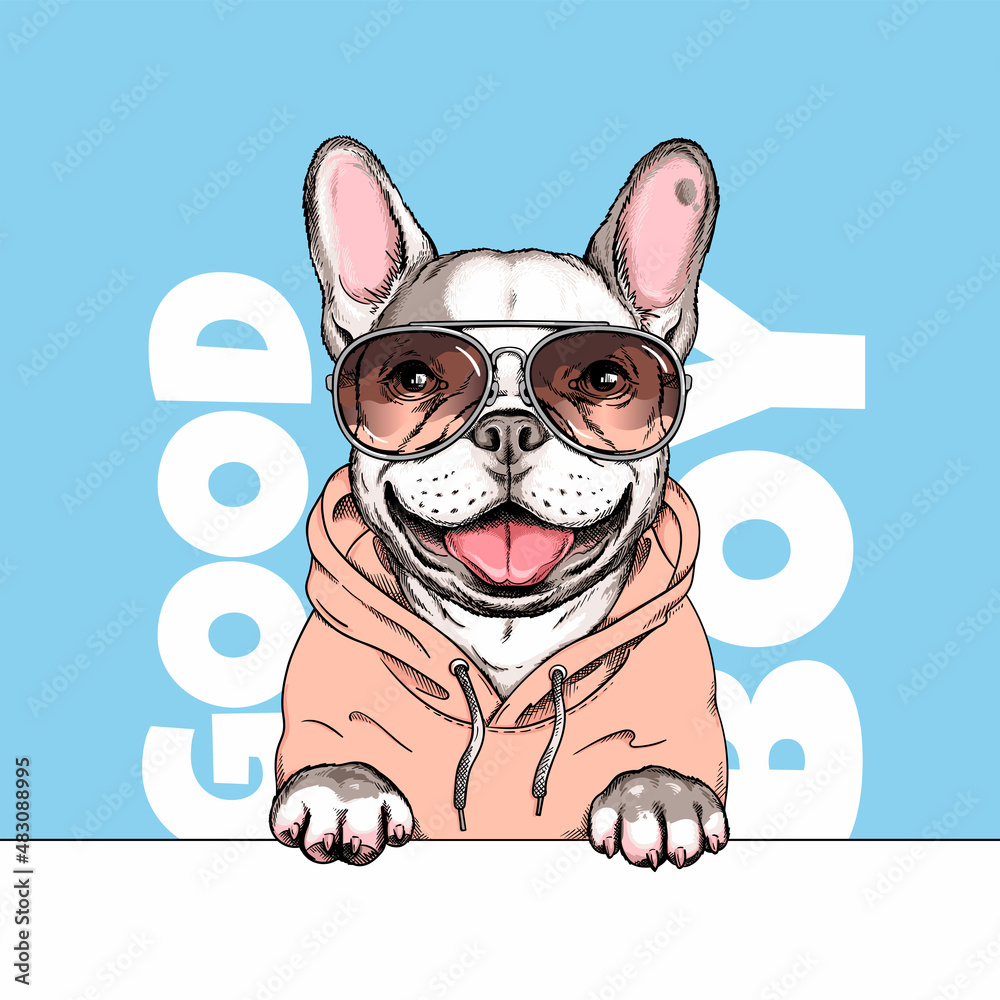 Happy Bulldog Vector