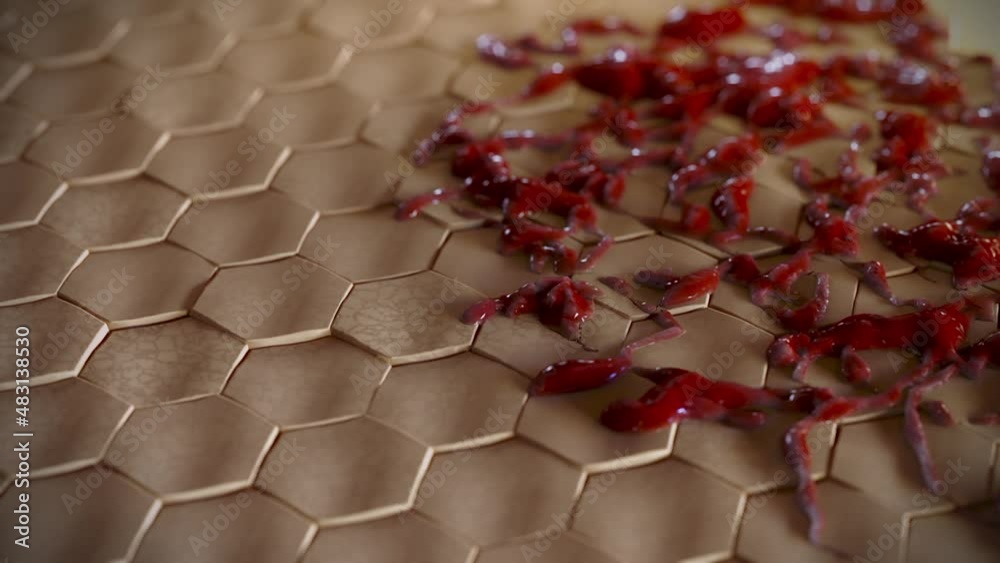 Growth of cancer infection cells time-lapse style animation. 3D ...