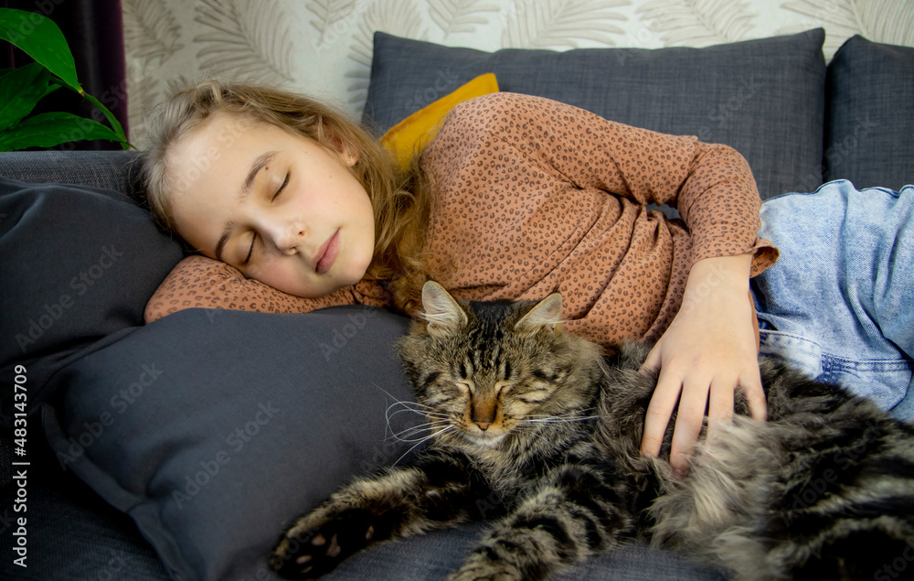 little blonde girl sleeping on sofa and hugging gray tabby cat ...