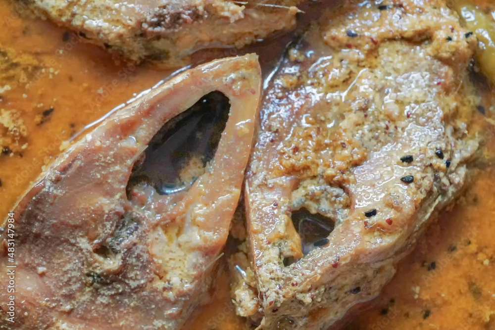 Tenualosa ilisha (ilish, hilsa, hilsa herring or hilsa shad) is a very ...
