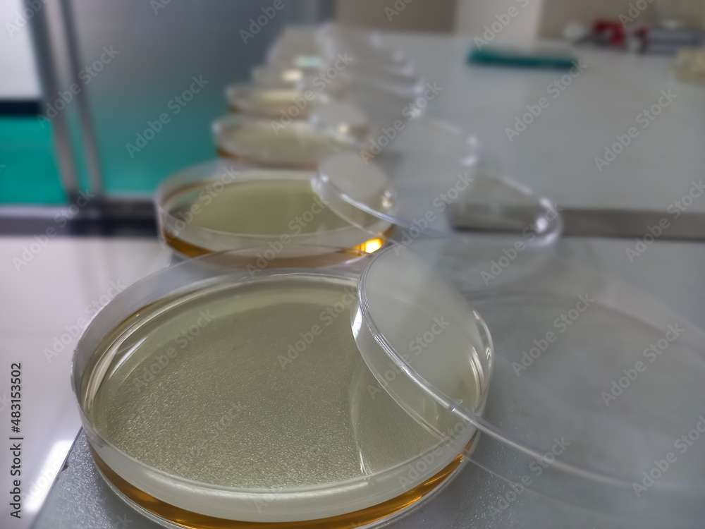 HiCrome UTI Agar media for growth of gram positive and gram negative ...