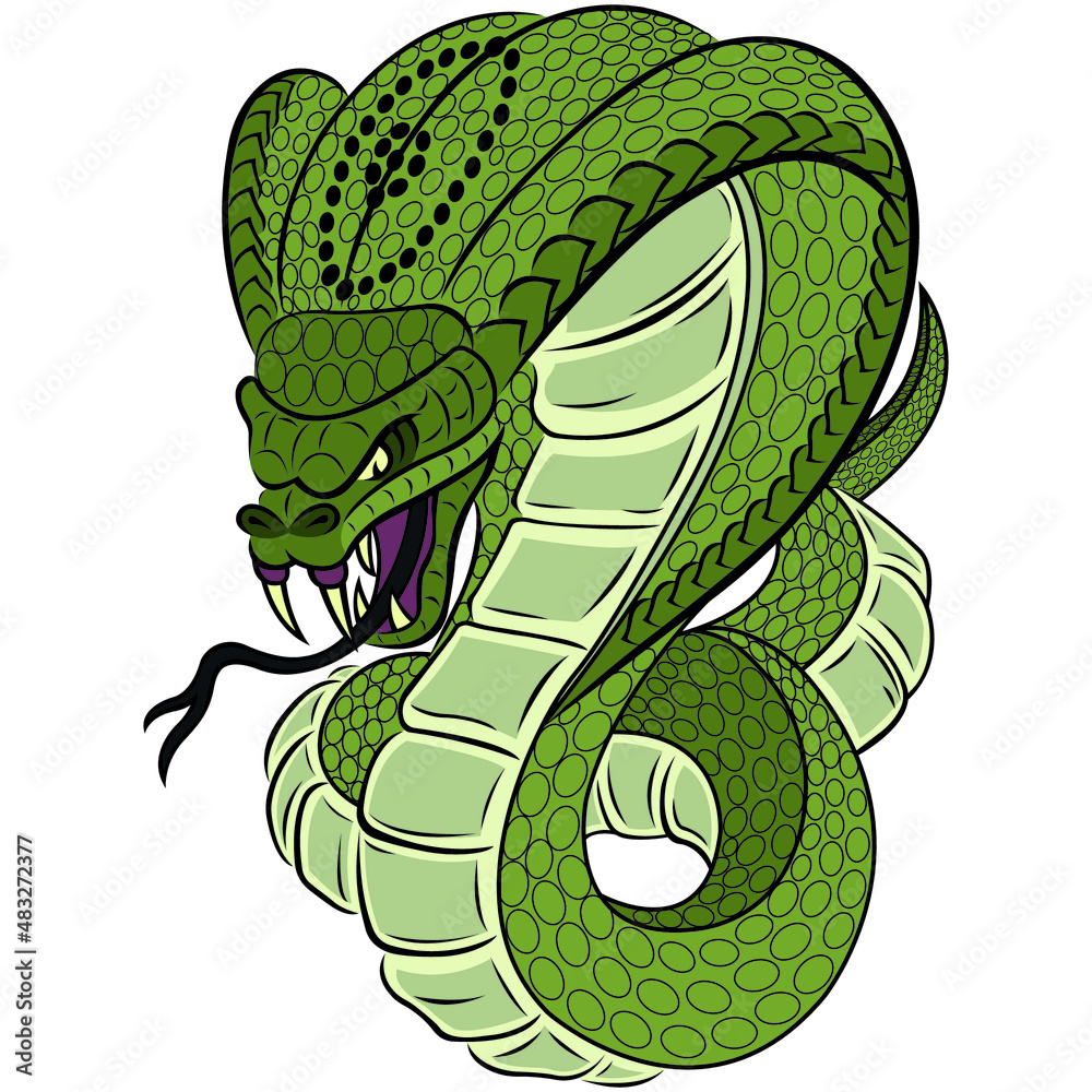 Green cobra king snake attacks with open hood and open mouth. The ...